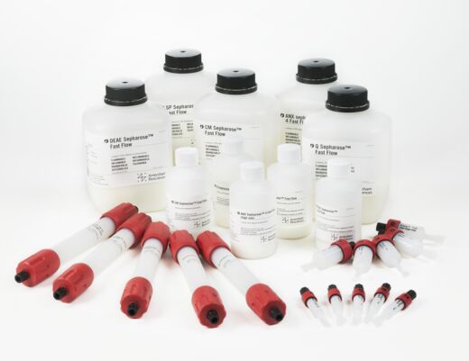 DEAE琼脂糖凝胶FF阴离子交换层析树脂，DEAE Sepharose Fast Flow anion exchange ...