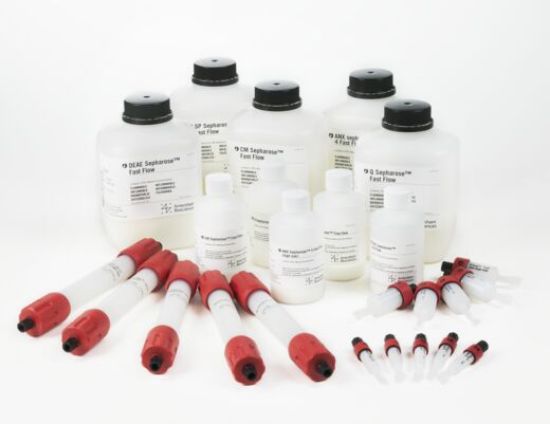 DEAE琼脂糖凝胶FF阴离子交换层析树脂，DEAE Sepharose Fast Flow anion exchange ...