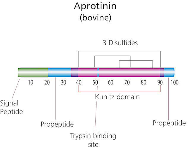 抑肽酶来源于牛肺，Aprotinin from bovine lung [BPTI]；recombinant, expressed in ...