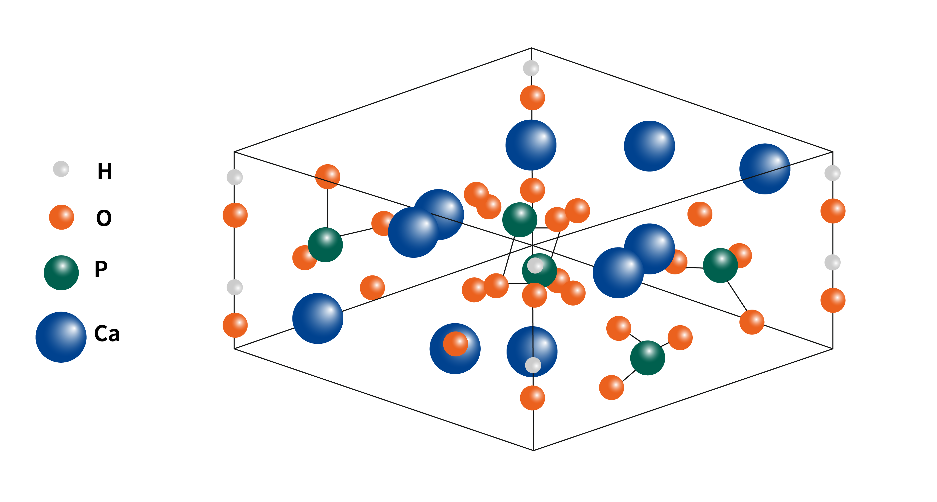 羟基磷灰石介质-复合模式刚性填料，Hydroxyapatite [CHT I, CHT II]